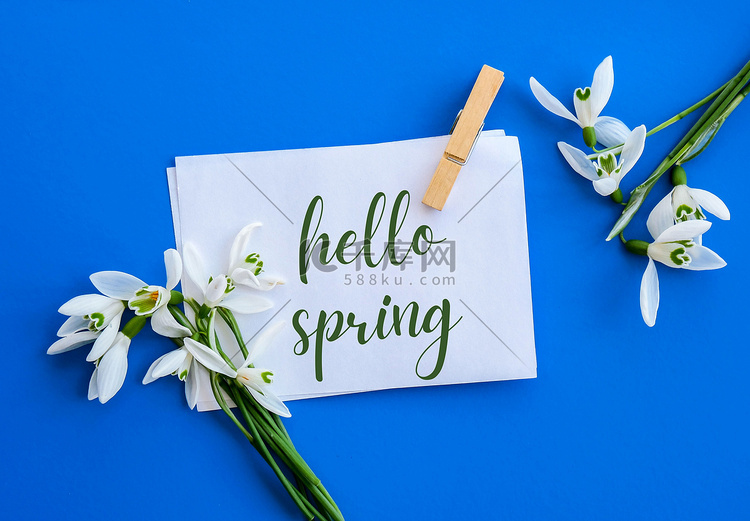 贺卡文字 HELLO SPRING 刻字与雪莲花。高清摄影大图-千库网
