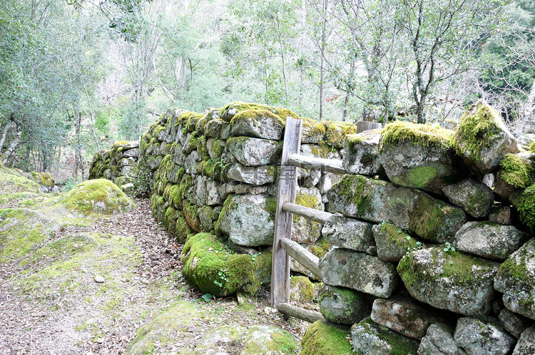 保护和预防手段高清摄影大图-千库网