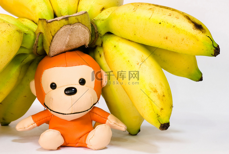 香蕉与猴子高清摄影大图-千库网