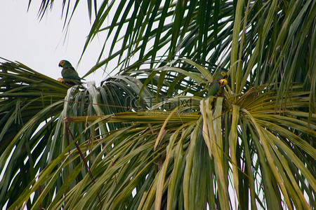 桑多瓦尔湖高清摄影大图-千库网