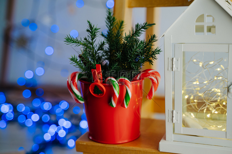 由针叶树枝和 ledins 手杖和白色房子组成的红盆。高清摄影大图-千库网