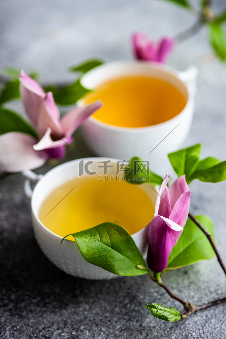 春季花卡概念与玉兰高清摄影大图-千库网
