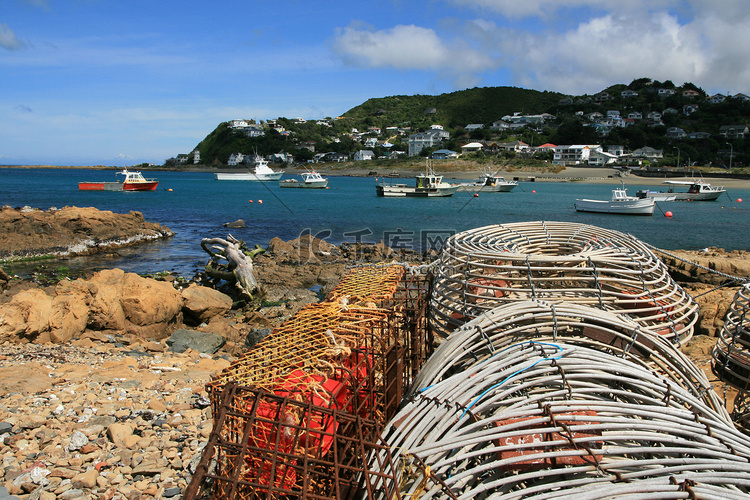 新西兰惠灵顿岛湾高清摄影大图-千库网