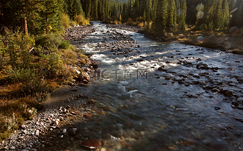toad背景图片大全-toad高清照片下载-千库网