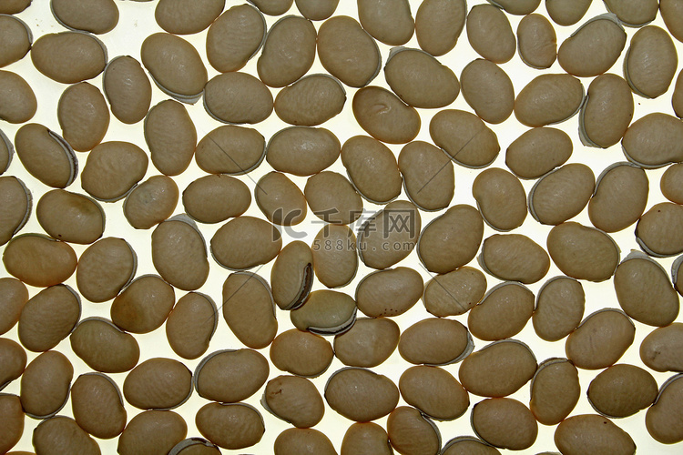 Lablab purpureus L.，Pawata，蝶形花科，豆科，蝶形花亚科，豆科，Dolichos lablab L.高清摄影大图-千库网