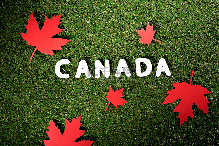 "加拿大" 一词的顶部视图与枫叶在绿草背景高清摄影大图-千库网