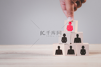 organization图片素材-organization模板图片下载-千库网