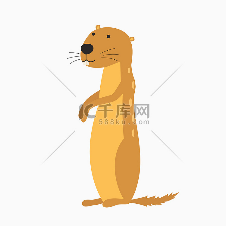 Gopher 孤立在白色背景上高清摄影大图-千库网