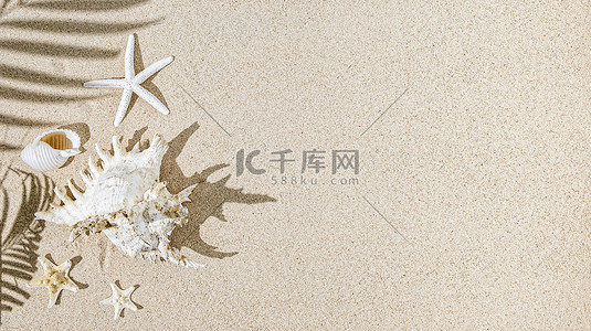 shells摄影图片-shells摄影作品-千库网