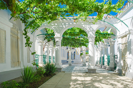 耶夫帕托里亚，克里米亚，有寺庙复杂 kenasa高清摄影大图-千库网