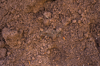 砂土图片-砂土素材-砂土模板图片下载-千库网