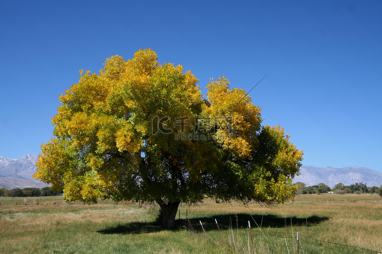印度之夏高清摄影大图-千库网