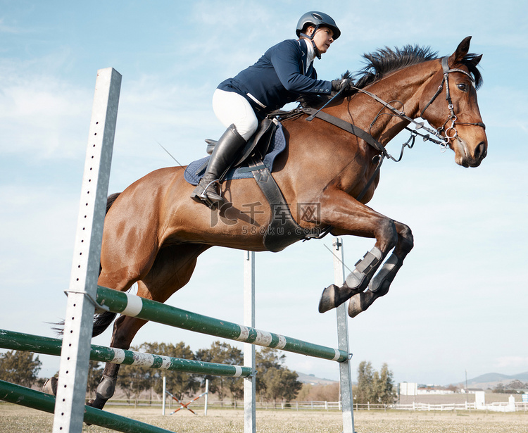 Full length shot of a young female rider jumping over a hurdle on her ...