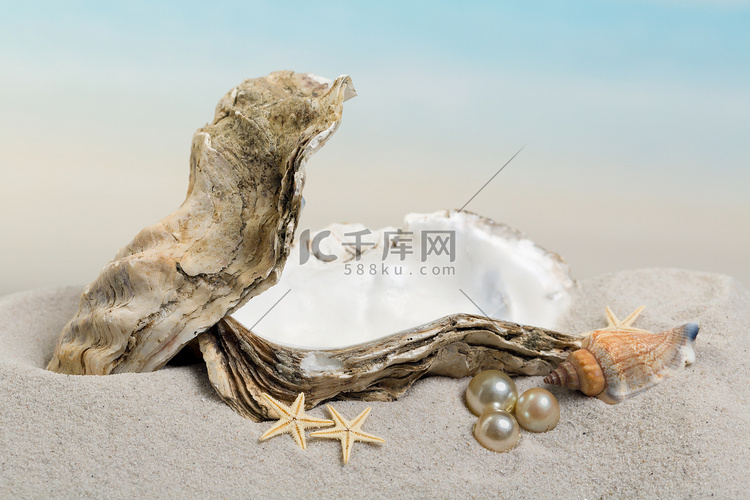 在牡蛎珍珠高清摄影大图-千库网