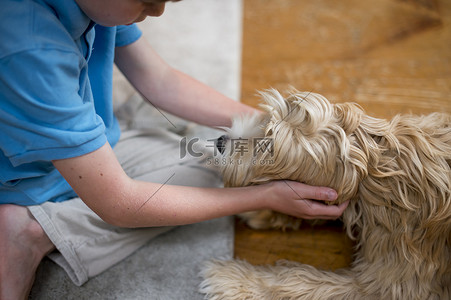 一个小男孩和狗玩耍高清摄影大图-千库网