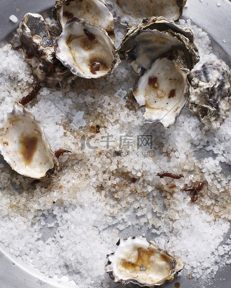 海盐牡蛎壳高清摄影大图-千库网