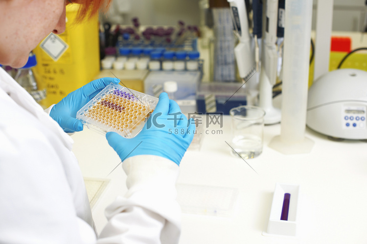 女科学家研究多井盘高清摄影大图-千库网