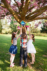 孩子们把鸟舍挂在树上高清摄影大图-千库网
