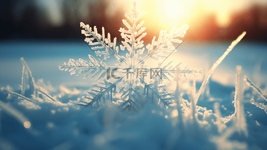 冬天冰晶雪花特写高清摄影大图-千库网