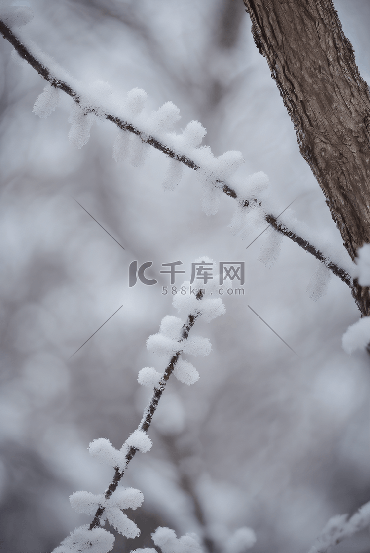 下雪白天树枝上的积雪图片47高清摄影大图-千库网