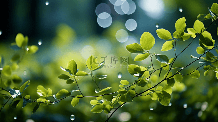 清新绿色植物模糊虚化背景3设计图背景图片免费下载_海报banner/高清大图_千库网(图片编号6597316)