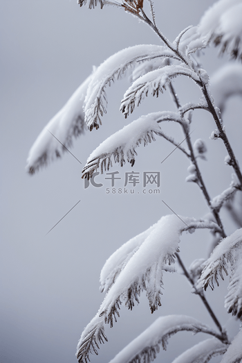 256x256图片-256x256素材-256x256模板图片下载-千库网