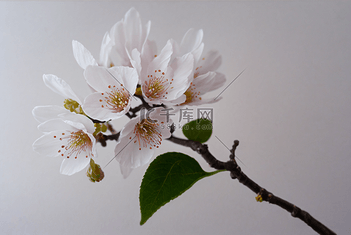 50m图片图片_50m图片素材-50m图片图片大全-千库网