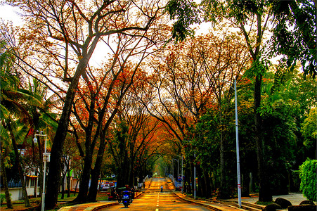 海南两院农业大学校园风光高清摄影大图-千库网