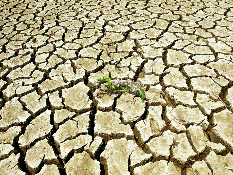 海南三亚南山寺海上观音雕像高清摄影大图-千库网