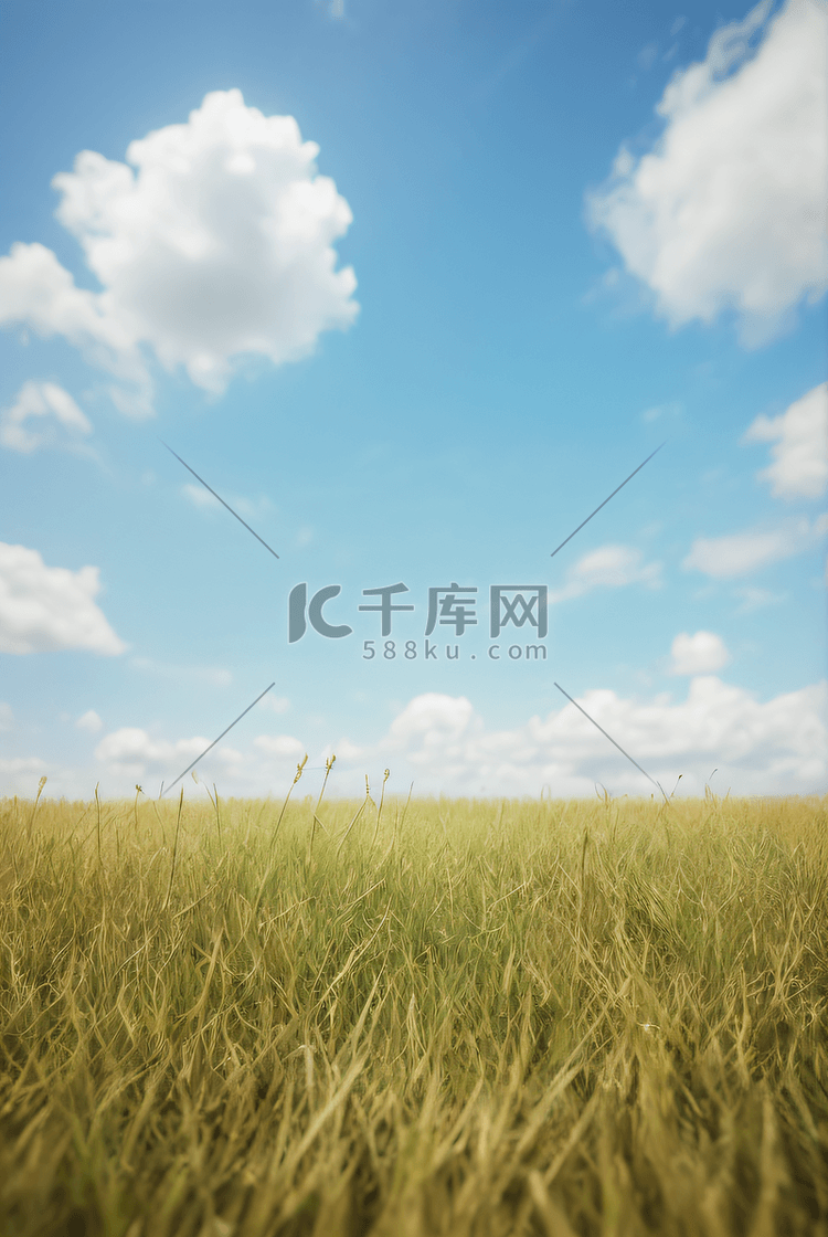 春天蓝天白云草地风景图片781高清摄影大图-千库网