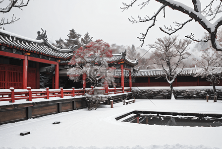 冬季庭院里的积雪摄影图片7高清摄影大图-千库网