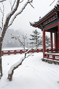 冬季庭院积雪雪景摄影配图2高清摄影大图-千库网