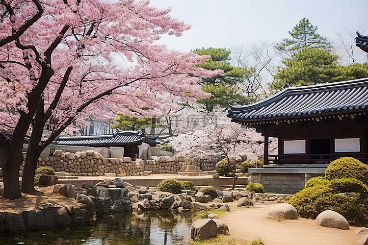 Sandwipe ddrm 的韩国传统花园和公园 朝鲜花园背景图片免费下载_海报banner/高清大图_千库网(图片编号7115837)