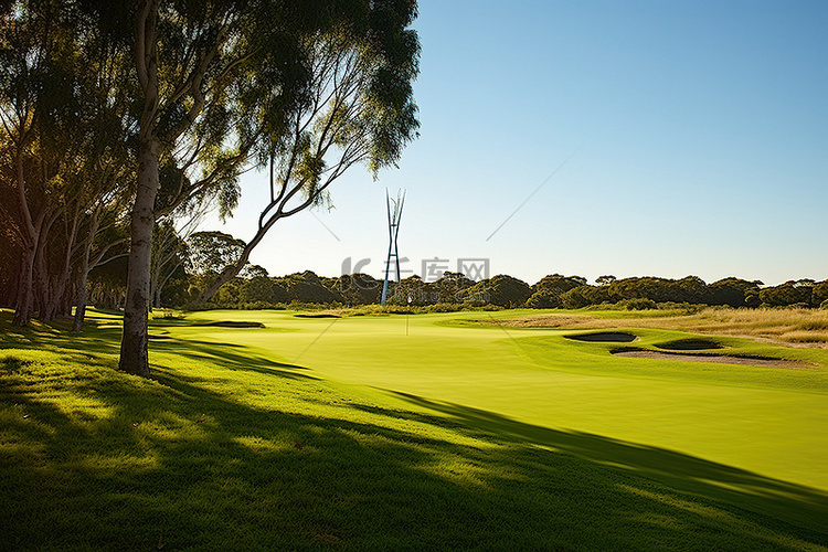 高尔夫球场上树林的影子背景图片免费下载_海报banner/高清大图_千库网(图片编号6989280)