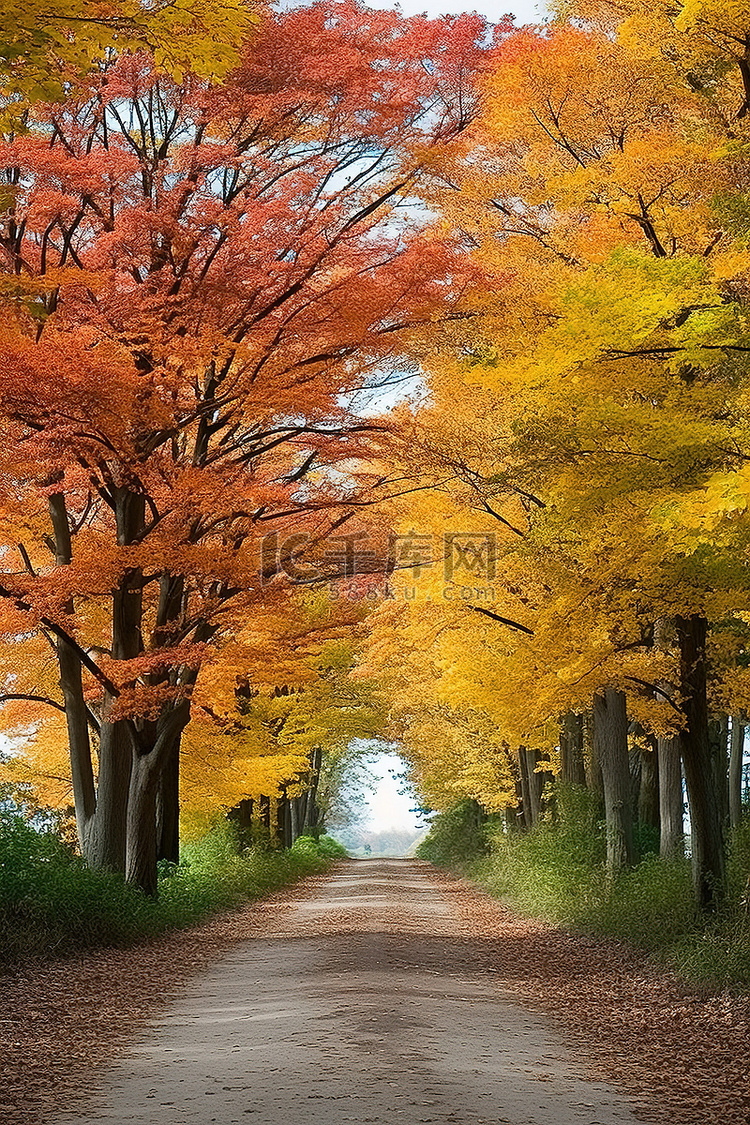 一条狭窄的小路，周围环绕着秋天的彩色树木背景图片免费下载_海报banner/高清大图_千库网(图片编号7082892)