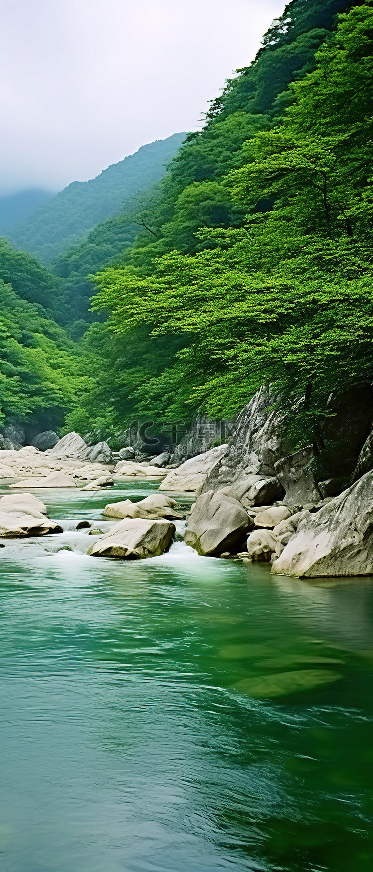 绿色河流中的水背景图片免费下载_海报banner/高清大图_千库网(图片编号7120659)