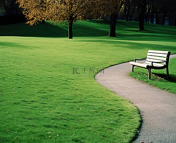 有长凳和绿草的开放草地公园背景图片免费下载_海报banner/高清大图_千库网(图片编号7077233)
