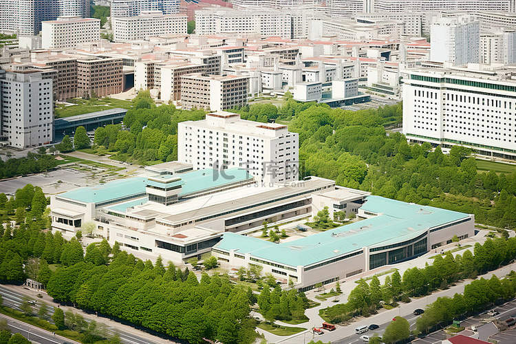 Park and Syook University 北京大学背景图片免费下载_海报banner/高清大图_千库网(图片编号6964258)