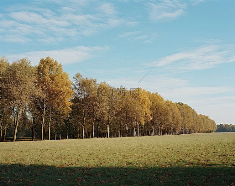 秋天的田野，背景中有很多树木背景图片免费下载_海报banner/高清大图_千库网(图片编号7150660)