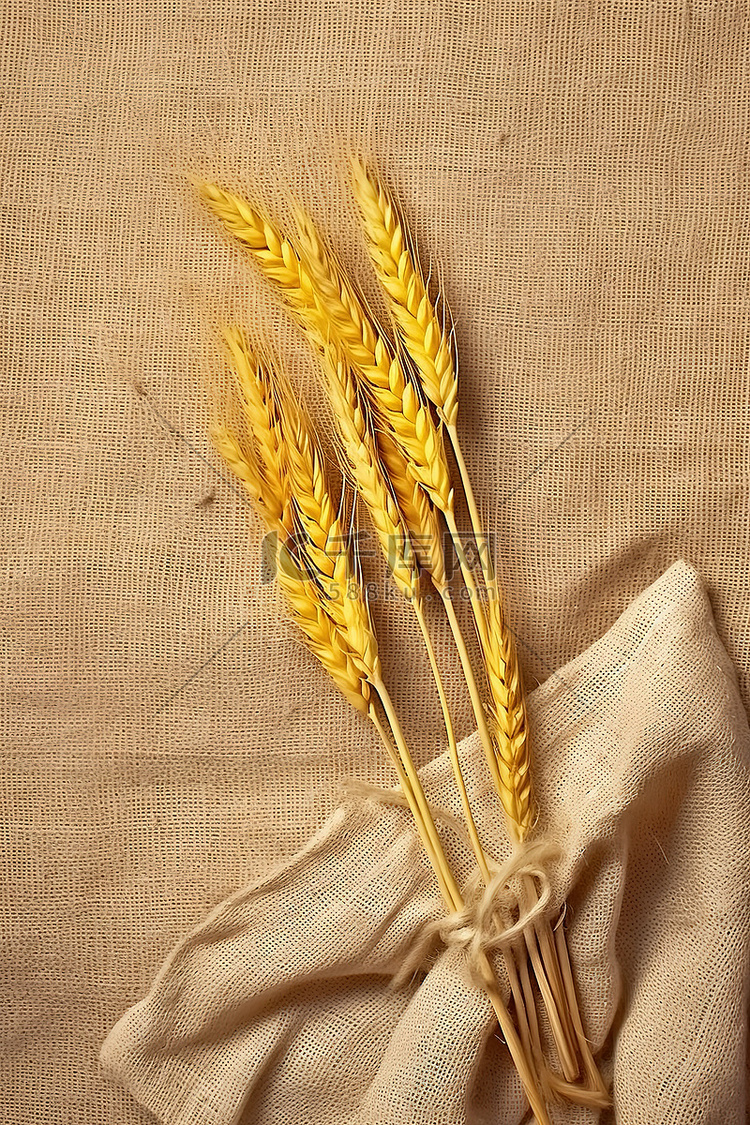 麻袋上的麦穗背景图片免费下载_海报banner/高清大图_千库网(图片编号7028951)