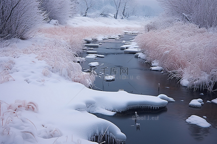 雪中 长满睡莲的池塘背景图片免费下载_海报banner/高清大图_千库网(图片编号6960201)
