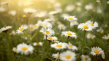 ppt小贴图图片免费下载-ppt小贴图素材模板-正版ppt小贴图图片大全-千库网