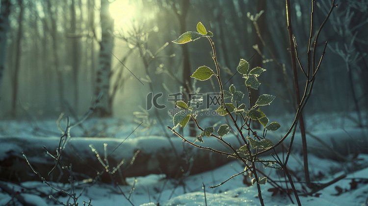 素材春天植物复苏立体描绘摄影照片高清摄影大图-千库网