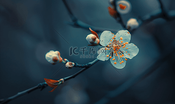 4k壁纸图片-4k壁纸素材-4k壁纸模板图片下载-千库网