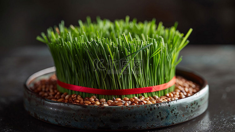 韭菜蔬菜立体描绘摄影照片高清摄影大图-千库网