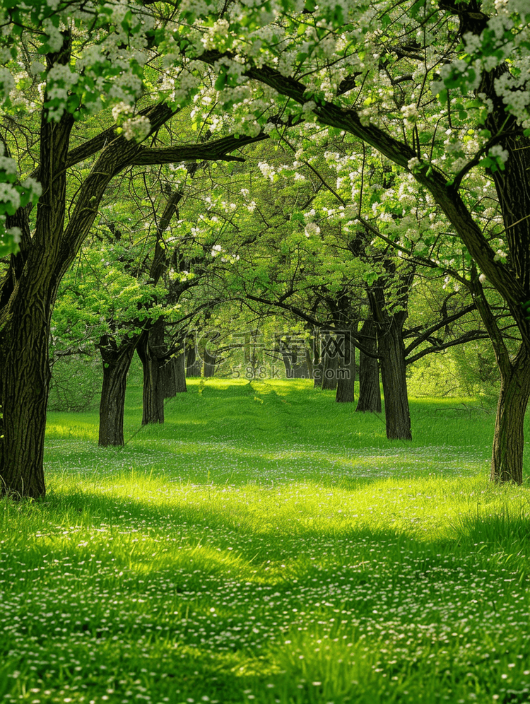 奇妙的绿色景观与开花的树木高清摄影大图-千库网