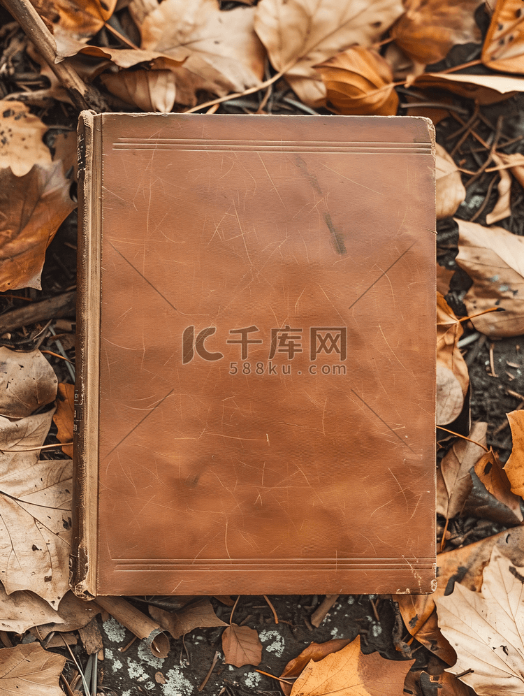 带干树叶的复古书籍封面样机模板高清摄影大图-千库网