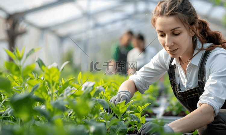 在温室工作的年轻农业工程师高清摄影大图-千库网