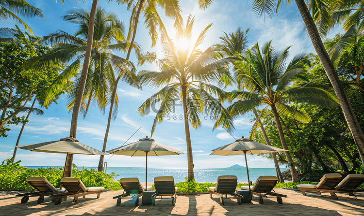 高大美丽的棕榈树绿叶和躺椅配有折叠太阳伞高清摄影大图-千库网
