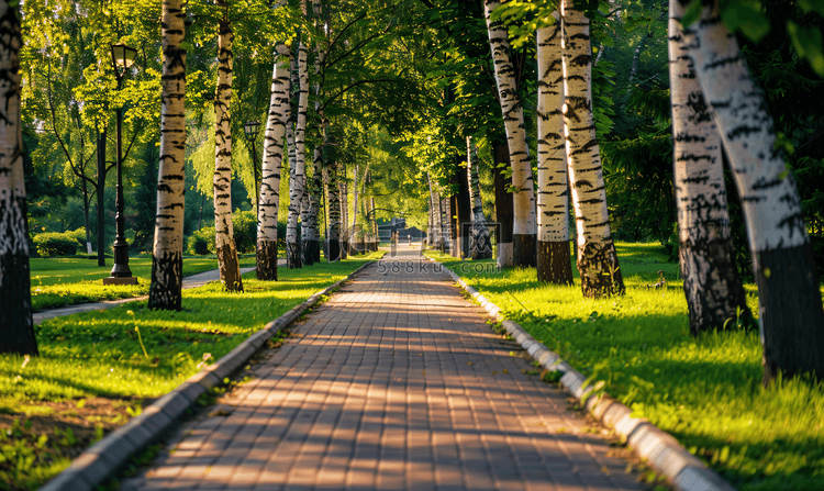 夏天在公园树林间的路上散步高清摄影大图-千库网